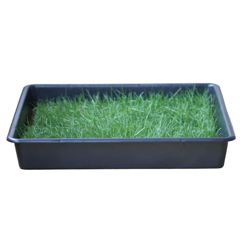 Cómo funciona | PetGround